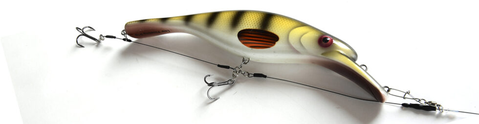 About - Releaserigshop