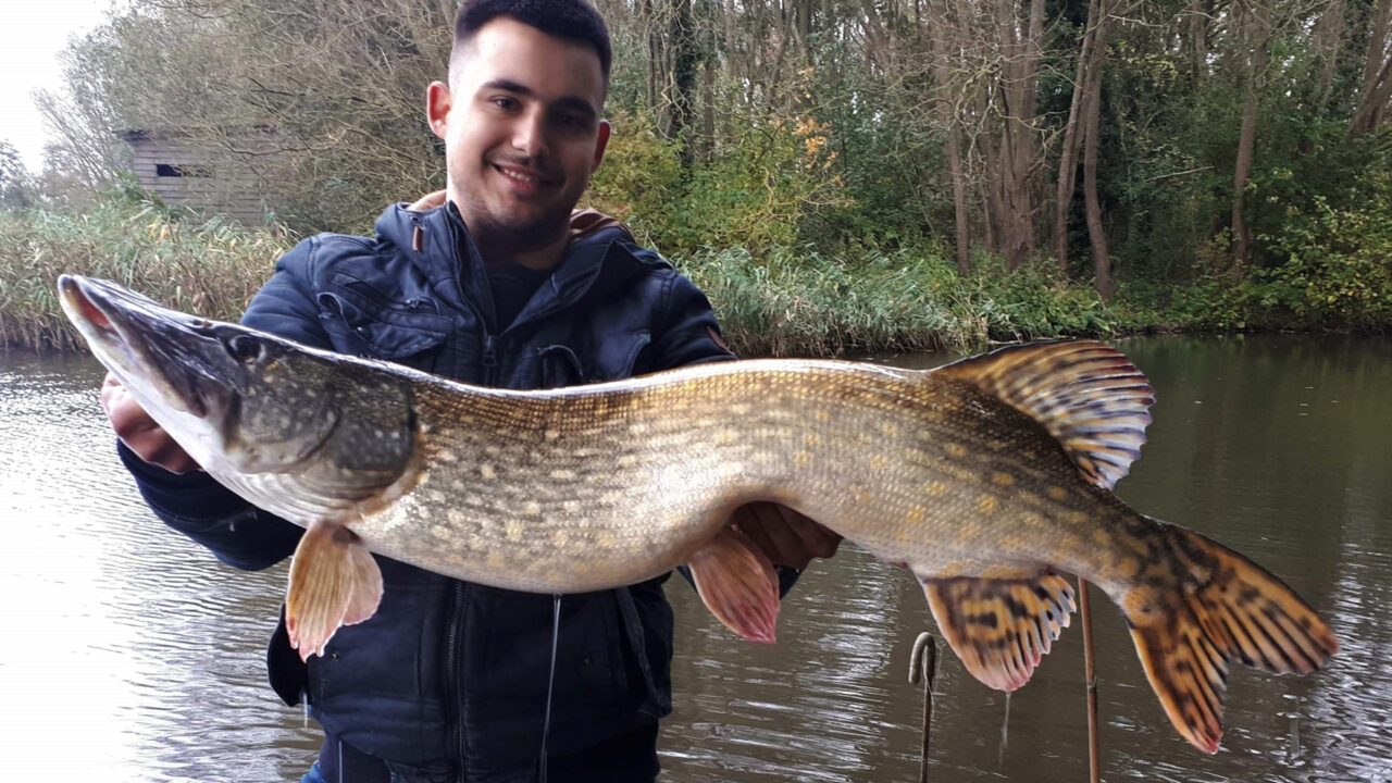 Home - Releaserigshop